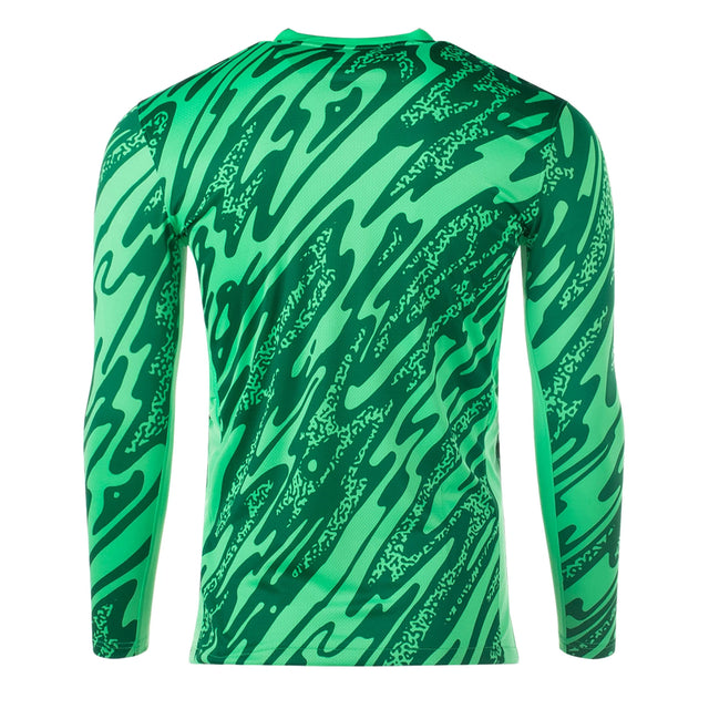 Nike Men's Gardien Goalkeeper Long Sleeve Jersey Green Spark/White ...