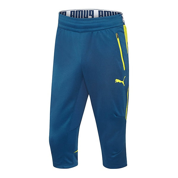 PUMA Men's Flicker Knicker 3/4 Sweatpants Poseidon-Sulphur Spring ...